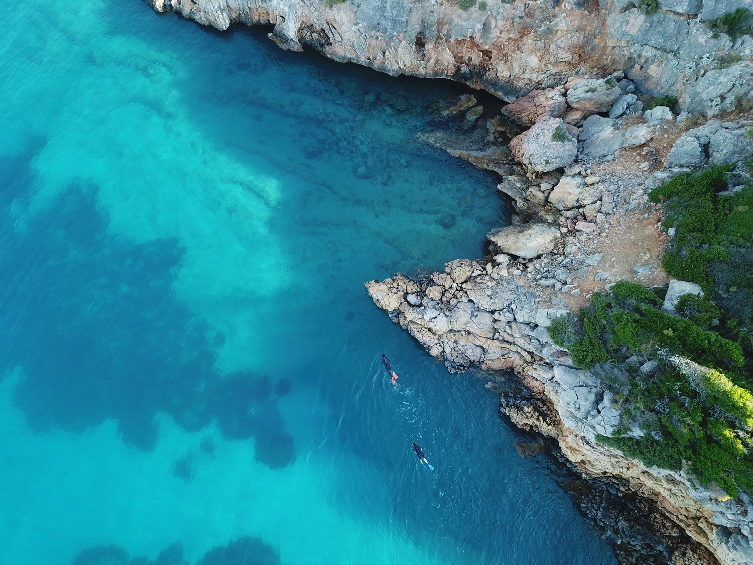 Mediterranean Conservation Society